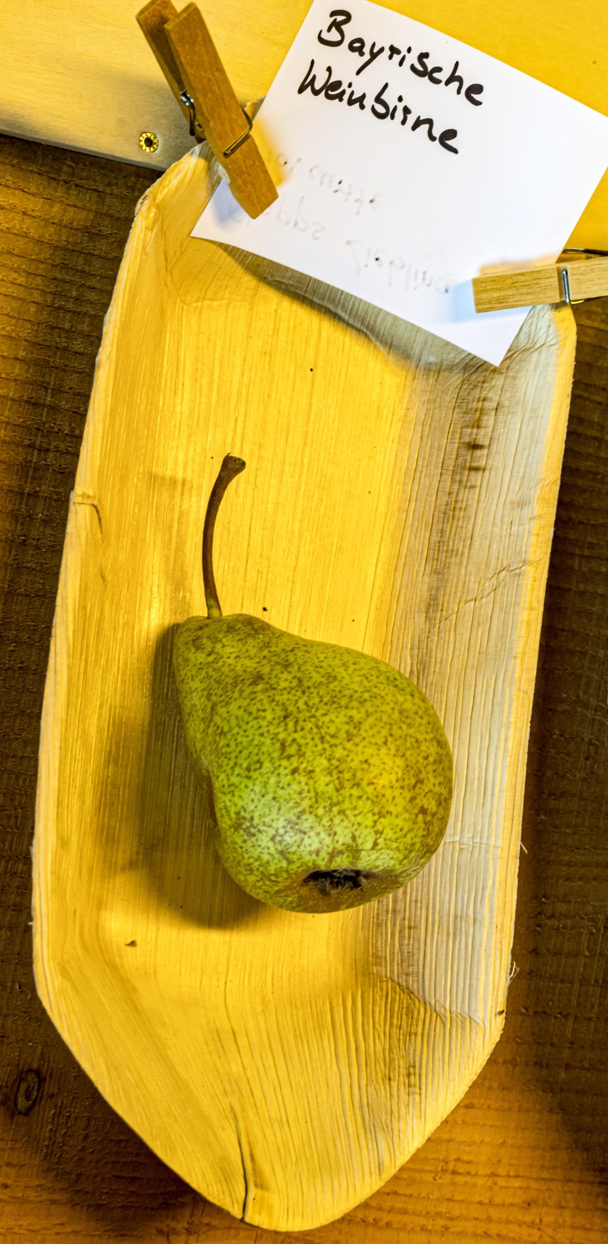 Frutas con la Letra W: La guía definitiva (LISTADO COMPLETO)